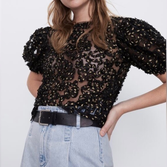 Zara | Tops | Zara Tulle Top With Metallic Thread | Poshmark